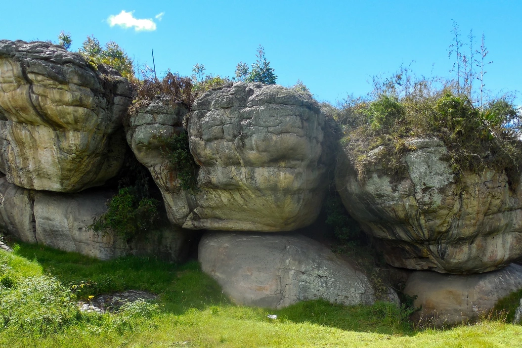 Syphilis: une trace génétique vieille de 5500 ans identifiée | CHUV