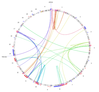 Optical Genome Mapping (OGM) - Laboratoire d'oncogénomique - CHUV