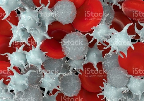 BioCAP - Centre de recherche et d'innovation en sciences ...