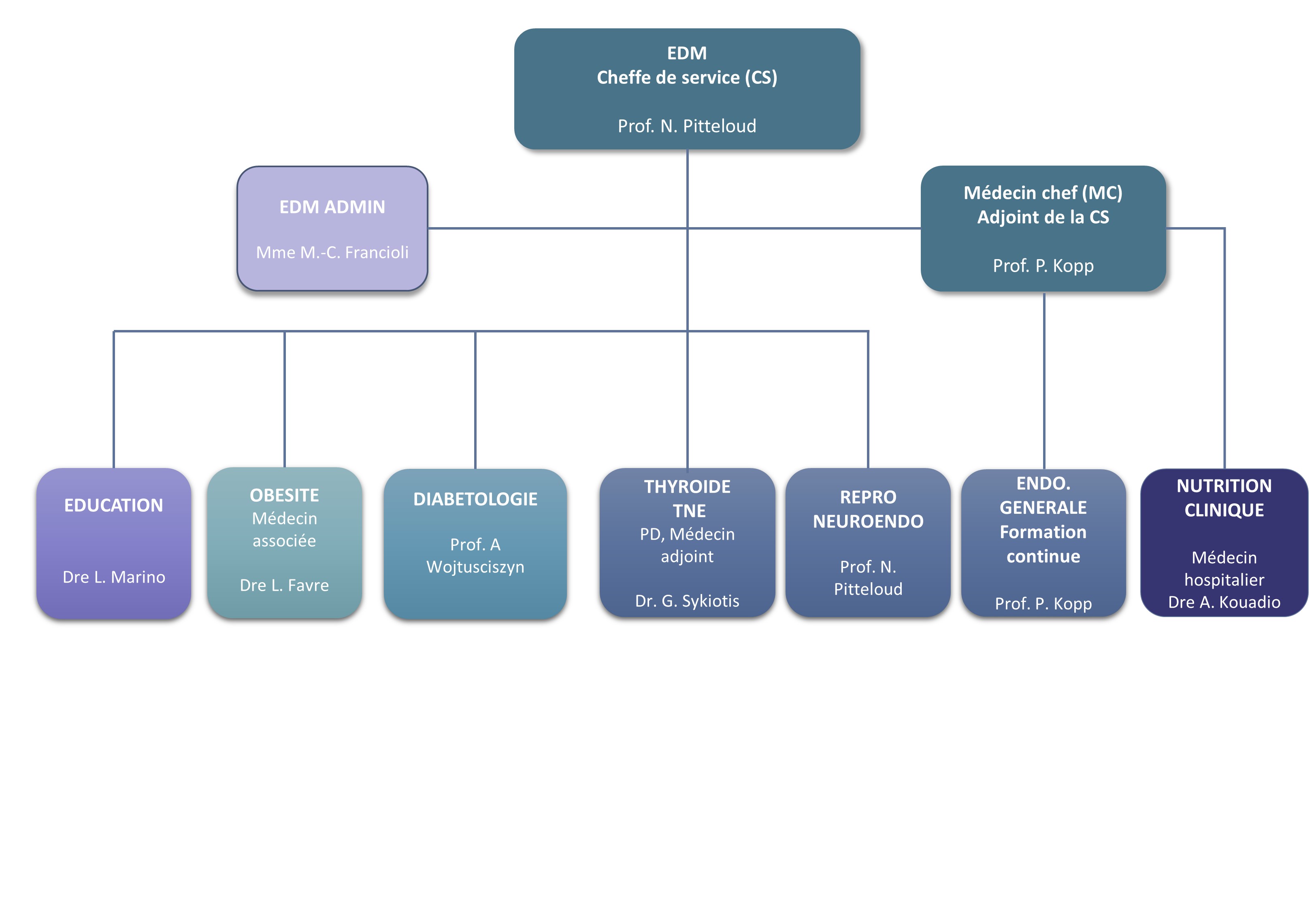 Organigramme - Service d'endocrinologie, diabétologie et métabolisme - CHUV
